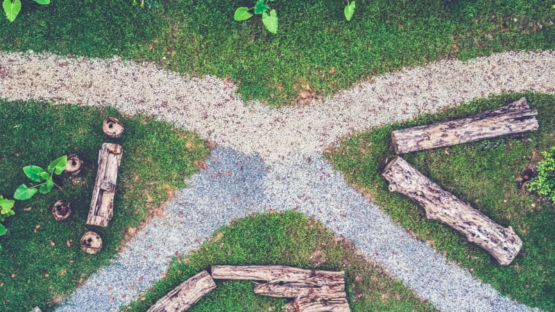 Google divulga Pathways, uma nova forma de desenvolver redes neurais ...